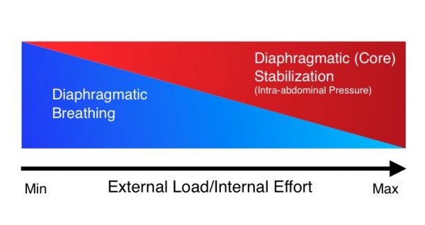 The Diaphragm's Role For a Healthy Spine and Body - Dr. Ryan Hamm