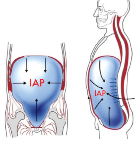 Two Predisposing Causes of Back Pain Everyone Needs to Know About - Dr ...